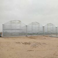 Quality Large Agricultural Polycarbonate Sheets Greenhouse Price From China for sale