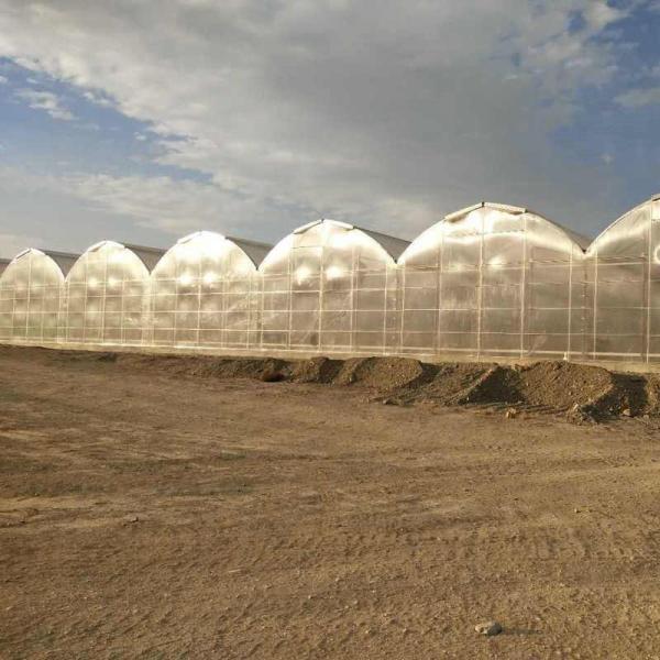 Quality Large Agricultural Polycarbonate Sheets Greenhouse Price From China for sale