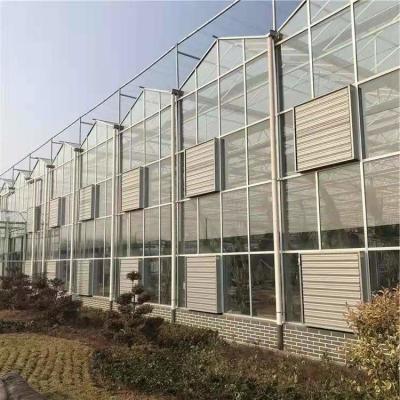 China Tomaten Komkommer Salad Kas System Venlo Landbouw Met koelventilator Pad Te koop