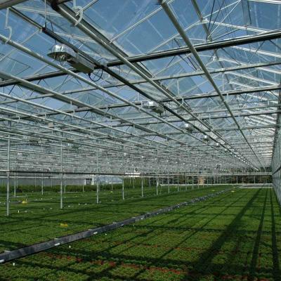 Cina 9.6m 10.8m 12m span venlo serra in vetro prefabbricato al coperto per la coltivazione idroponica vegetale in vendita