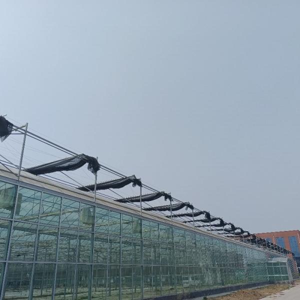 Quality Modular Agricultural Greenhouse For Sale Dome Roof Cover Film Side Cover Multi for sale