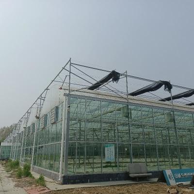 China Modular Agricultural Greenhouse For Sale Dome Roof Cover Film Side Cover Multi Span Cucumber Lettuce Growing for sale