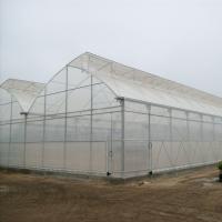Quality 150-200micro Plastic Film Greenhouse Four Seasons With Whole System Flowers for sale