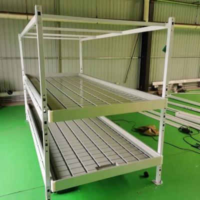 China Vegetable Outdoor Indoor Plant Growing Rack 1.22x2.44m Ebb Flood Fixed Table Growing Rack For Medical Plants for sale