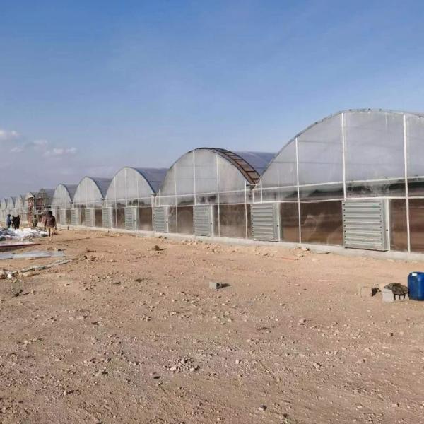 Quality 8mm 10mm Commercial Polycarbonate Greenhouse With Shading System Irrigation for sale