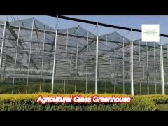 10 X 6 10 X 12 10 X 10 10 X 8 Commercial Glass Greenhouse Galvanized Steel Growing Flower Vegetable