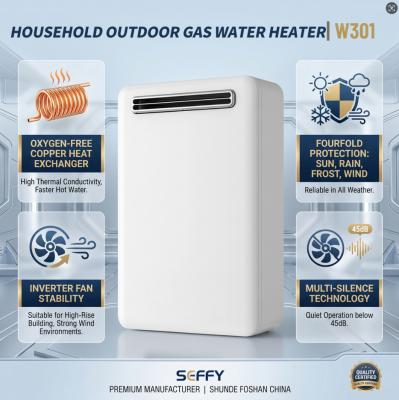 China 20L/24L High Capacity Outdoor LPG Water Heater Tankless Energy Saving For Home Shower for sale