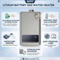 Quality CE Constant Hot Water Indoor Gas Water Heater Propane Whole House Heater Ultra for sale