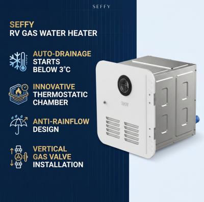 China Anti Freeze Portable RV Water Heater Tankless Instant Gas Hot Water For Caravans for sale