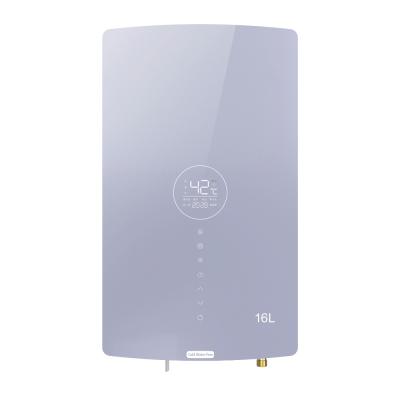 China Energy Saving Smart Gas Boiler Instant Water Heater Built-in Copper Heat Exchanger Recirculation Pump for Apartment for sale