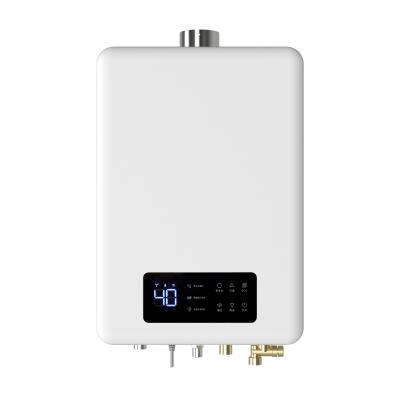 China Stainless Steel Housing Home Gas Water Heater Energy Efficient Durable Construction for sale
