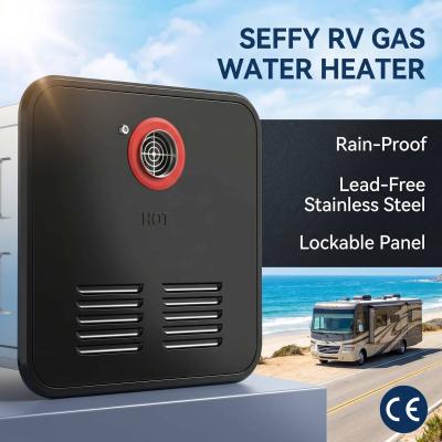 China 12V Constant Temperature RV Gas Water Heater Anti-freeze Tankless Propane Boiler Flue Type Stainless Steel for sale