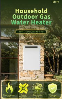 China Outdoor Gas Water Heater durable design suitable for residential commercial and recreational applications providing hot water supply for sale