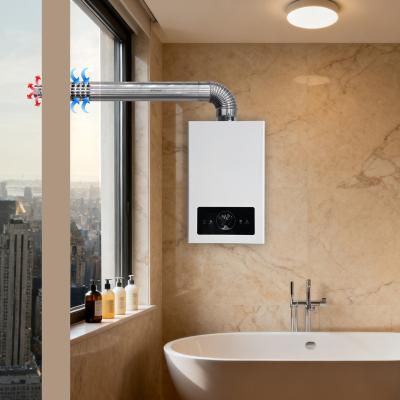 China Balanced Type Home Gas Water Heater with Copper Heat Exchanger Providing Rapid Heating Energy Saving and Safe Operation for sale