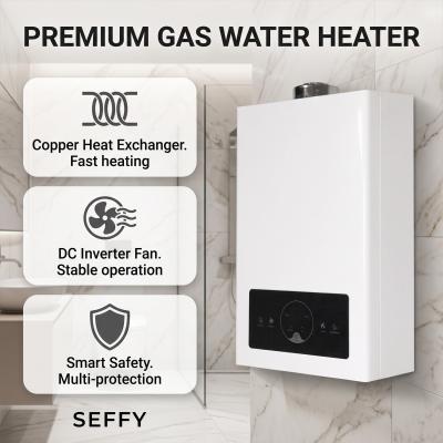China SEFFY Wall Mounted LPG Gas Water Heater Factory Direct Tankless Instant Boiler for Home for sale