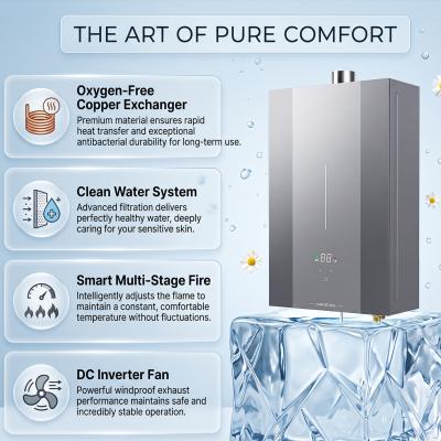 China Tankless LPG Gas Boiler Manufacturer for Africa Middle East Home Shower Projects for sale