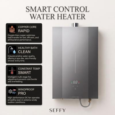 China Wholesale Gas Geyser LPG Water Heater for South America and Emerging Markets for sale