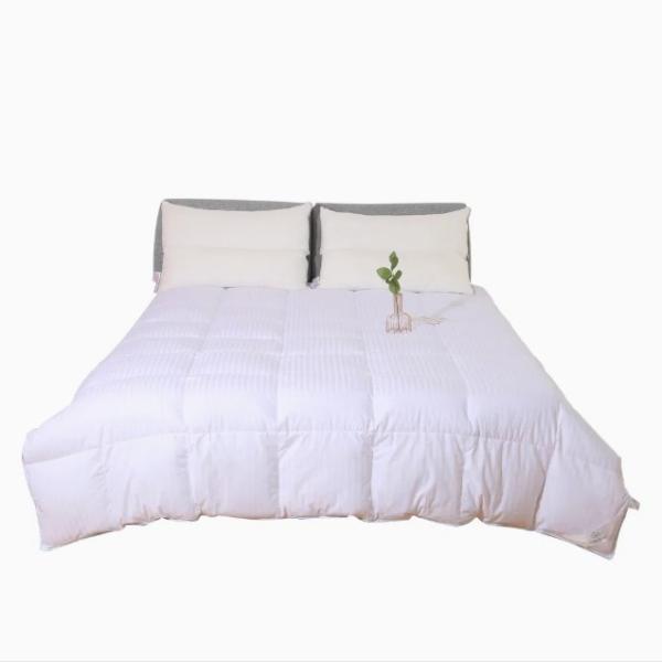 Quality 100% Cotton 233t Hotel Quilted Down Comforter Satin Stripe for sale