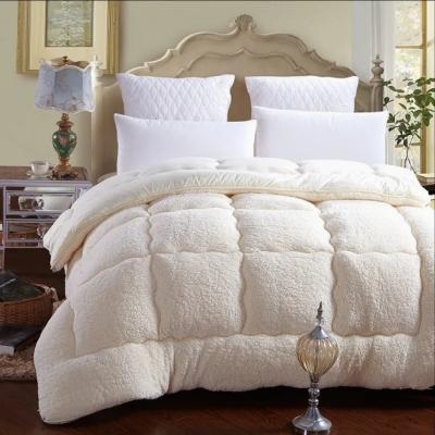 China Soft Double Side Fleece Comforter Cashmere Sherpa Quilt Microfiber Bicolor for sale