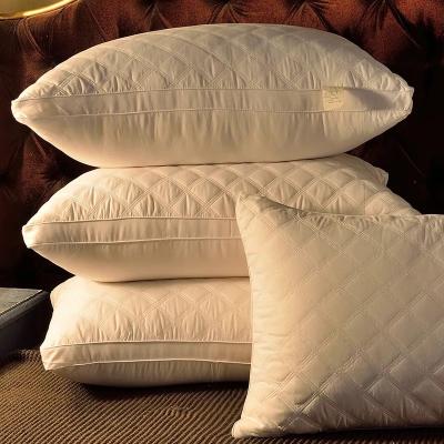 China Witte borduurwerk Soft Touch Microfiber Kissen Gusset Microfiber Neck Kissen 45x70cm Te koop