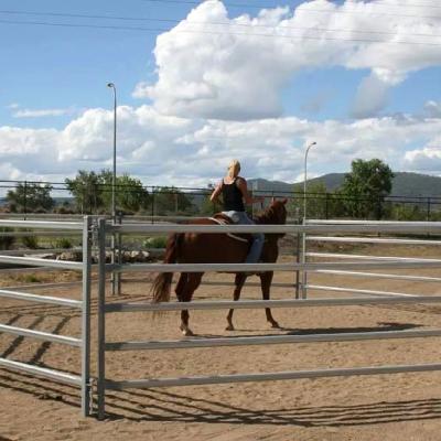 China Goat Sheep Farm Corral Panels CE ISO PE Coated Stainless Steel Galvanized Livestock Panels for sale