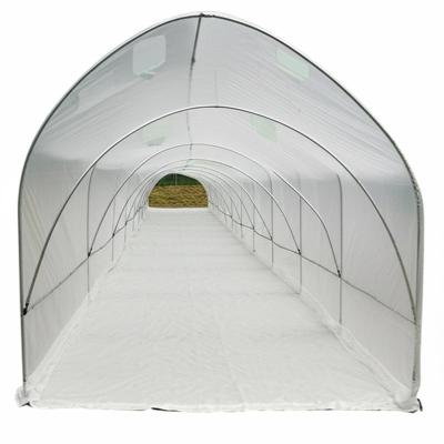 China Customized Greenhouse Tunnels with Polyethylene Cover Material Length 1-12m or as per Request for sale