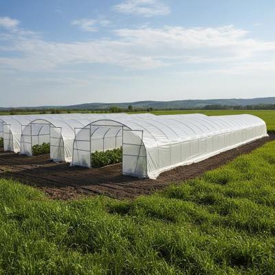 China Customizable Width Greenhouse Tunnels with 20-32 Mm Frame Diameter Waterproof PE Cover for sale