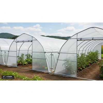 China Customizable Width Greenhouse Tunnels With Waterproof PE Cover And Durable Galvanized Steel Frame for sale