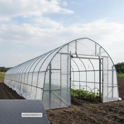 China Customizable Height Greenhouse Tunnels With Hot Rolled Steel Panels And Waterproof PE Cover For Durable Hothouse Passages for sale