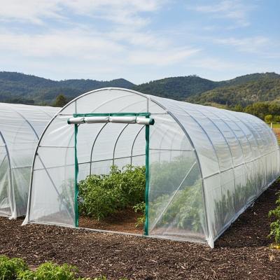 China Cold Rolled Greenhouse Tunnels With Zippered Door For Optimal Crop Protection for sale