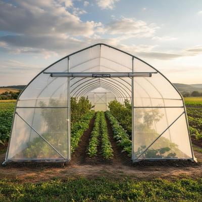China Zippered Door Greenhouse Tunnels With Galvanized Steel Frame And Waterproof PE Film Cover For Optimal Crop Growth for sale