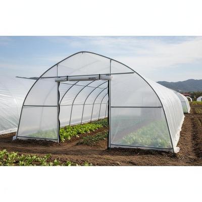 China Zippered Door Galvanized Steel Frame Greenhouse Tunnels Waterproof PE Cover For Crop Protection for sale