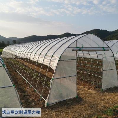 China Customizable Waterproof PE Cover Greenhouse Tunnels Durable Galvanized Steel Frame For Agriculture for sale