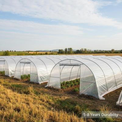 China Galvanized Steel Frame PE Film Cover Greenhouse Tunnels For Seasonal Crop Cultivation for sale