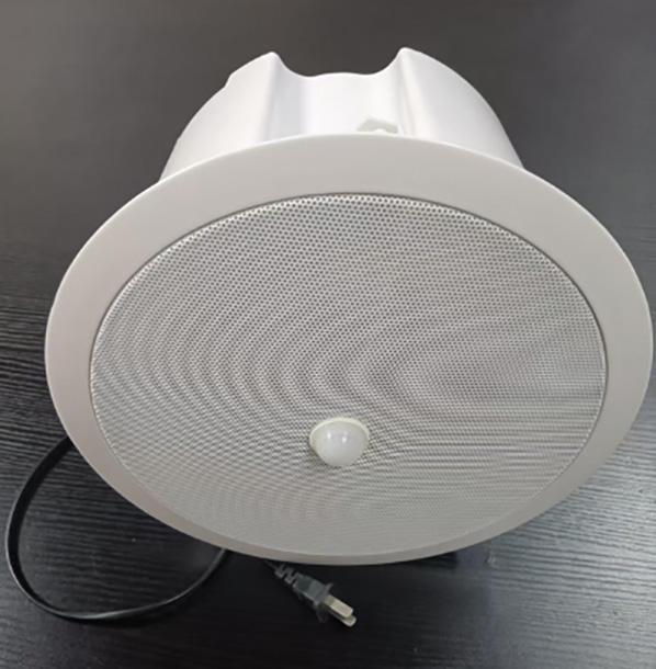 CIR-304C Ceiling Speaker installation view