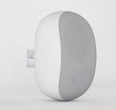 Китай Водонепроницаемые коммерческие аудиоколонки 20 Вт/10 Вт/5 Вт/2,5 Вт, монтируемые на стену продается