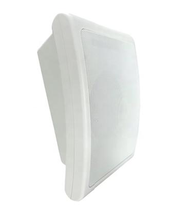 China 6W/3W 6-inch Woofer 100V Wall Speaker Dual Cone ABS for Hotel Restaurant Logo Customization for sale