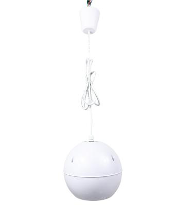 China 5W 2.5W Hanging Pendant Speakers 5 Inch ABS Ceiling Pendant Speakers for sale