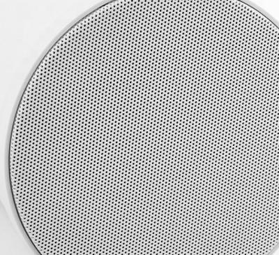 China IP55 Full Range Hanging Speaker 5 Inch Commercial Pendant Speakers 2m Line for sale