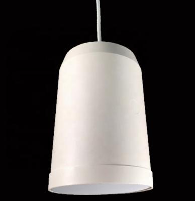 China IP55 Full Range Hanging Speaker 5 Inch Commercial Pendant Speakers 2m Line for sale