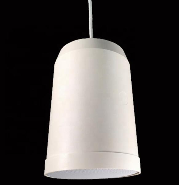Quality IP55 Full Range Hanging Speaker 5 Inch Commercial Pendant Speakers 2m Line for sale