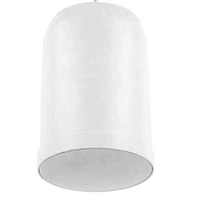 China 6 Inch Hanging Speaker 100V IP55 Hanging Outdoor Speaker 10W 20W for sale