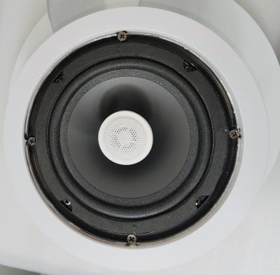 中国 ODM 天井スピーカー 100V/70V 5 インチ同軸スピーカー 旋回可能な眼球ツイッター 販売のため