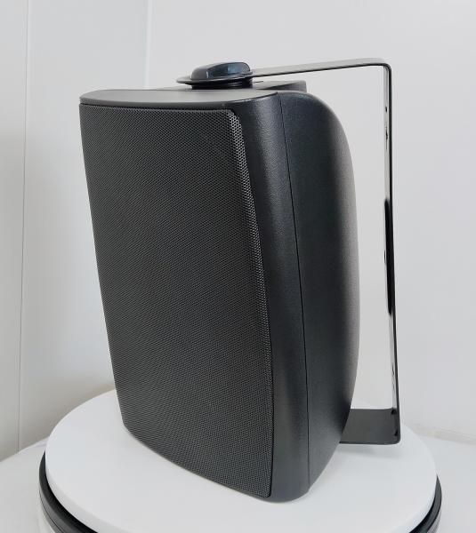 Quality Two Way In Wall PA Speakers 30W 100V Individual Tweeter 5 Inch Woofer for sale