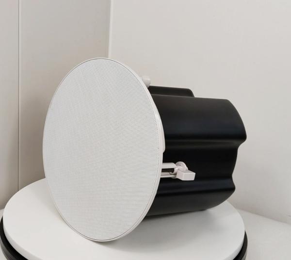 Quality 30w/15w/7.5w/3.8w 5-inch Coaxial Speaker 100V/70V/8ohm High Quality Commercial Audio OEM ODM for sale