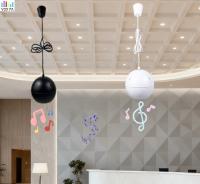 Quality 10w/5w/2.5w Hanging Speaker Pendent Speaker 5 Inch Full Range Speaker ABS HiFi for sale
