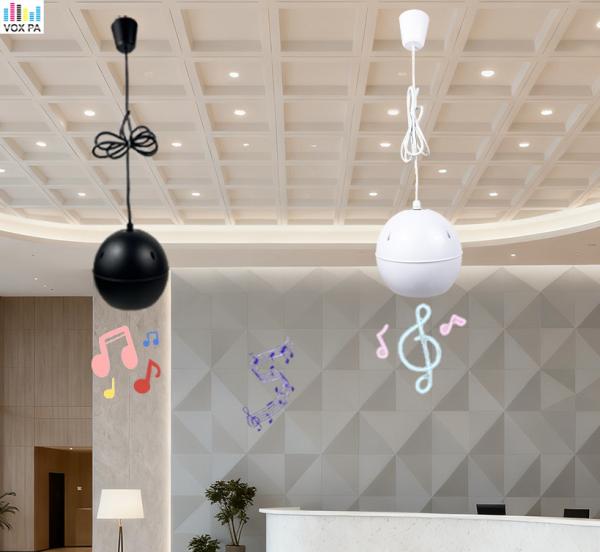 Quality 10w/5w/2.5w Hanging Speaker Pendent Speaker 5 Inch Full Range Speaker ABS HiFi Good Sound for Hotel Airport Station for sale