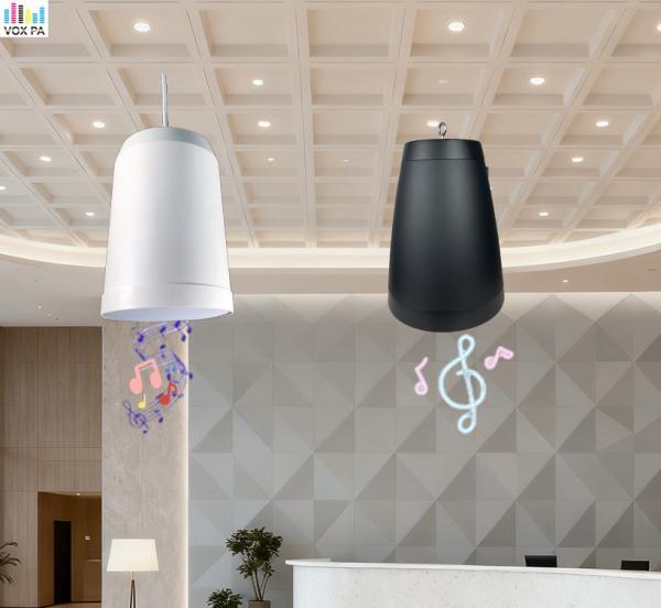 Quality 6-inch 20w/10w 100V Hanging Speaker IP55 Waterproof Outdoor Aluminum Net HiFi Good Quality OEM ODM for sale
