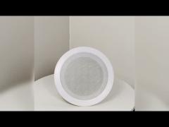 5''/6''/8'' 100V Ceiling Speaker ABS PA Loudspeaker With Spring Clamp