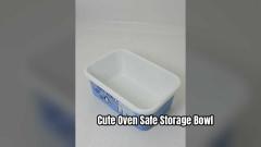 Cute Enamel Storage Bowl Oven Safe Food Container